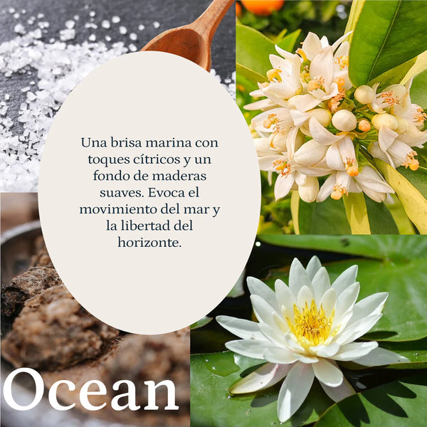 Room Spray Ocean – PuroSentido By: Scentrade - Colombia